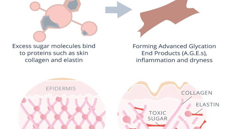 Glycation Aging And Wrinkles